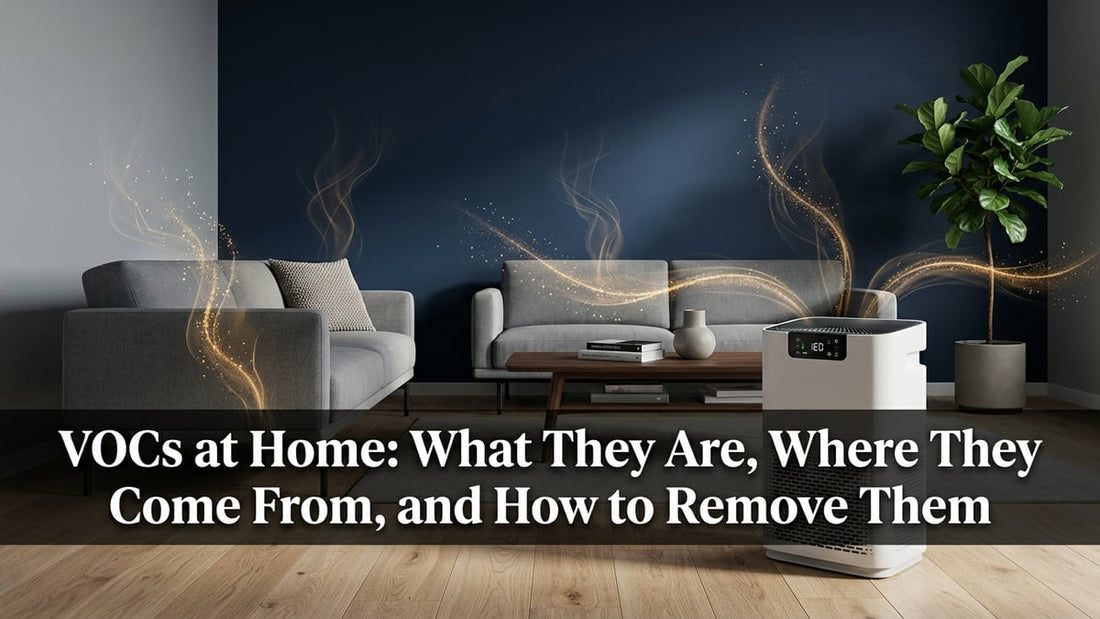 VOCs at Home: What They Are, Where They Come From, and How to Remove Them